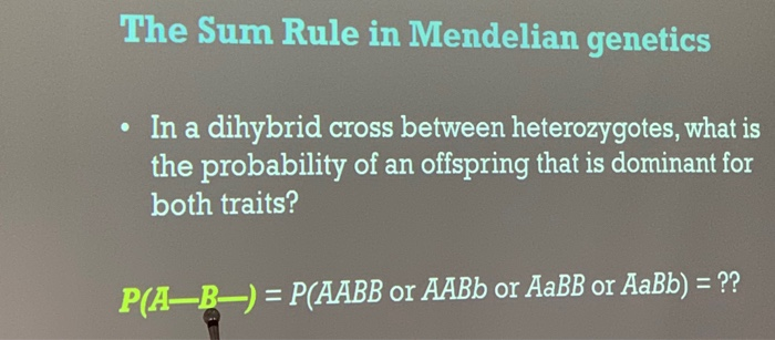 Solved The Sum Rule in Mendelian genetics • In a dihybrid | Chegg.com