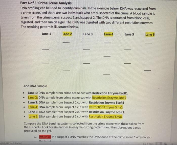 Solved Part 4 of 5: Crime Scene Analysis DNA profiling can | Chegg.com