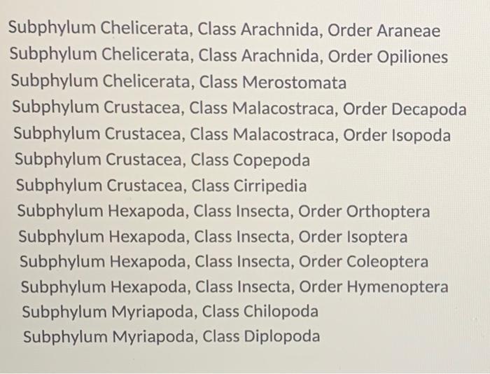 Solved Create a dichotomous key for the following arthropods | Chegg.com