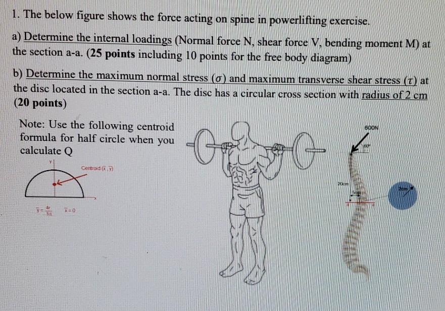 Solved 1. The below figure shows the force acting on spine | Chegg.com