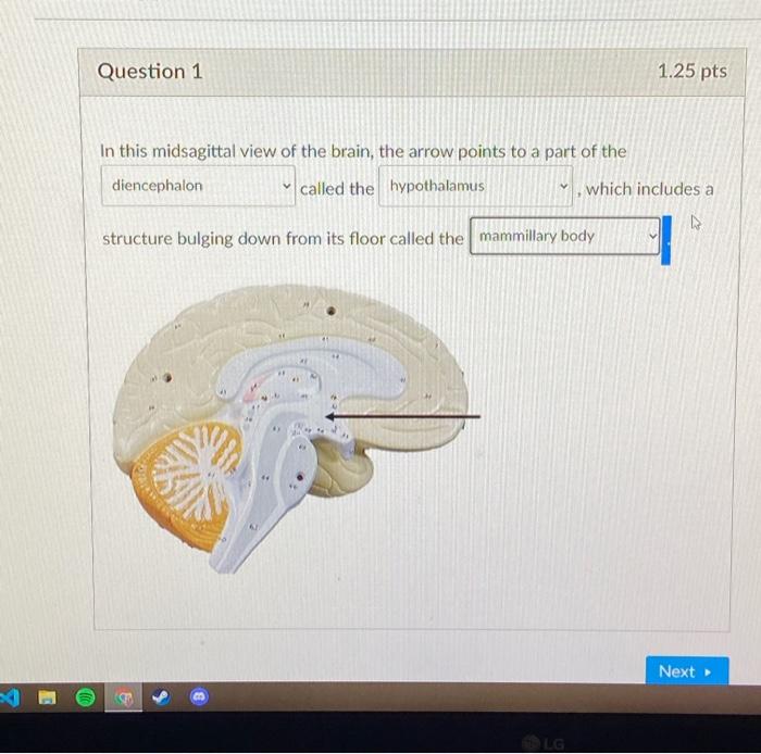 Solved There are four questions please check and see if the | Chegg.com