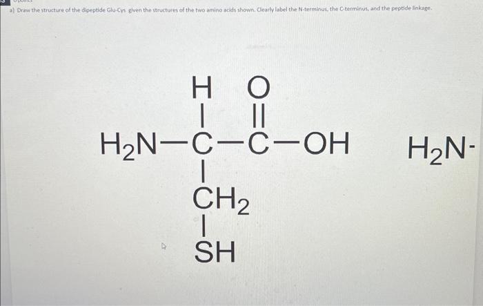 Solved a) Drawe the structure of the dipeptide Clu-Cri glven | Chegg.com
