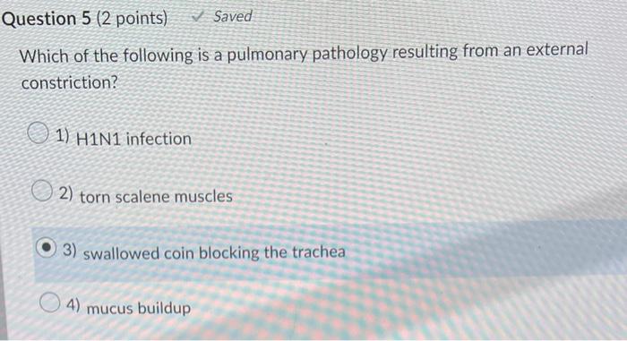 Solved Which of the following is a pulmonary pathology | Chegg.com
