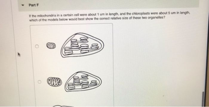 Part F If the mitochondria in a certain cell were | Chegg.com Part F If the mitochondria in a certain cell were | Chegg.com