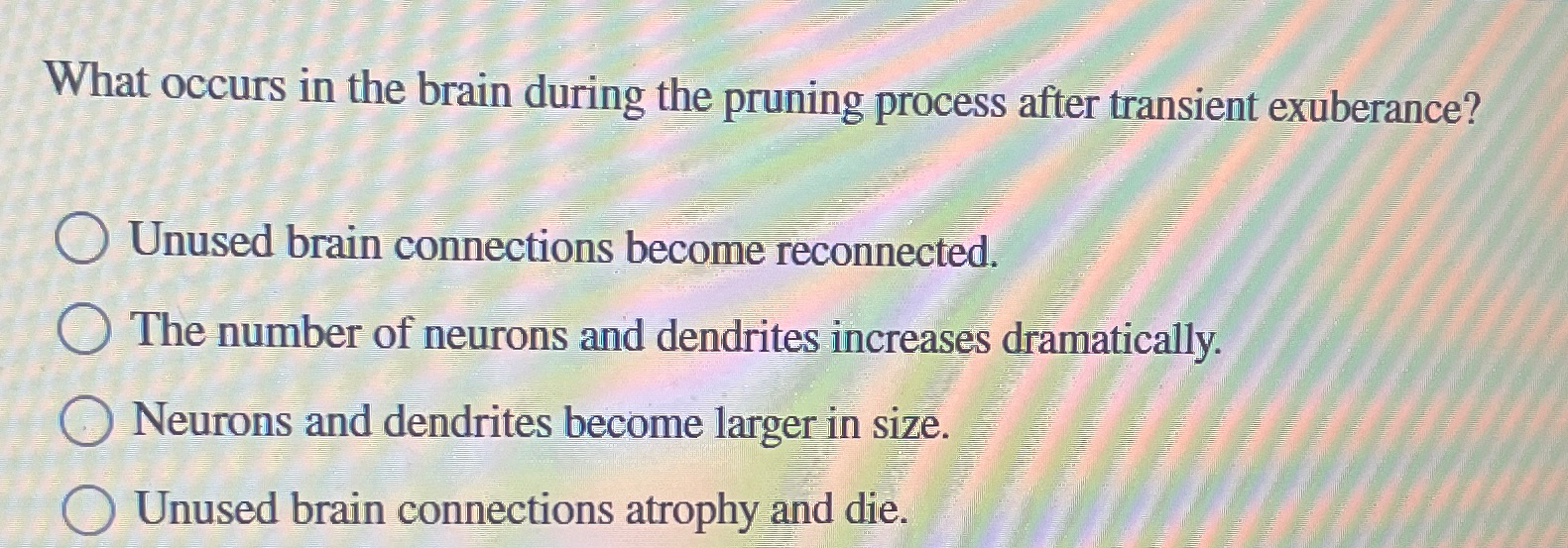 Solved What occurs in the brain during the pruning process | Chegg.com