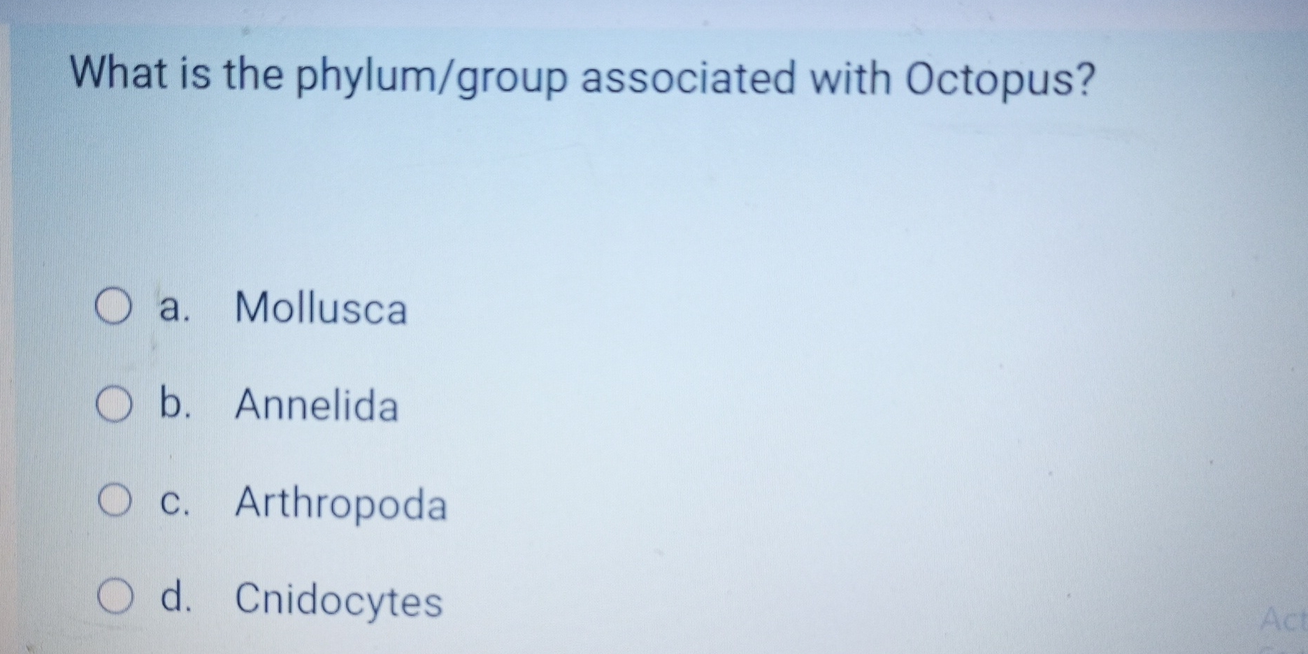 Solved What is the phylum/group associated with Octopus?a. | Chegg.com