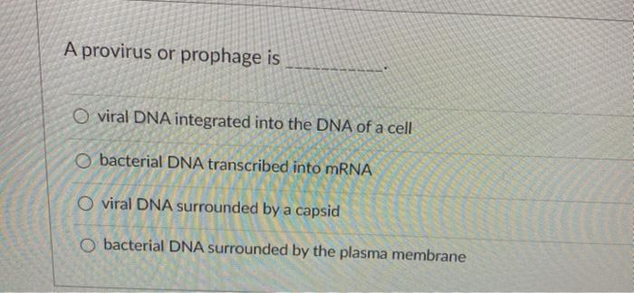 Solved A provirus or prophage is O viral DNA integrated into | Chegg.com