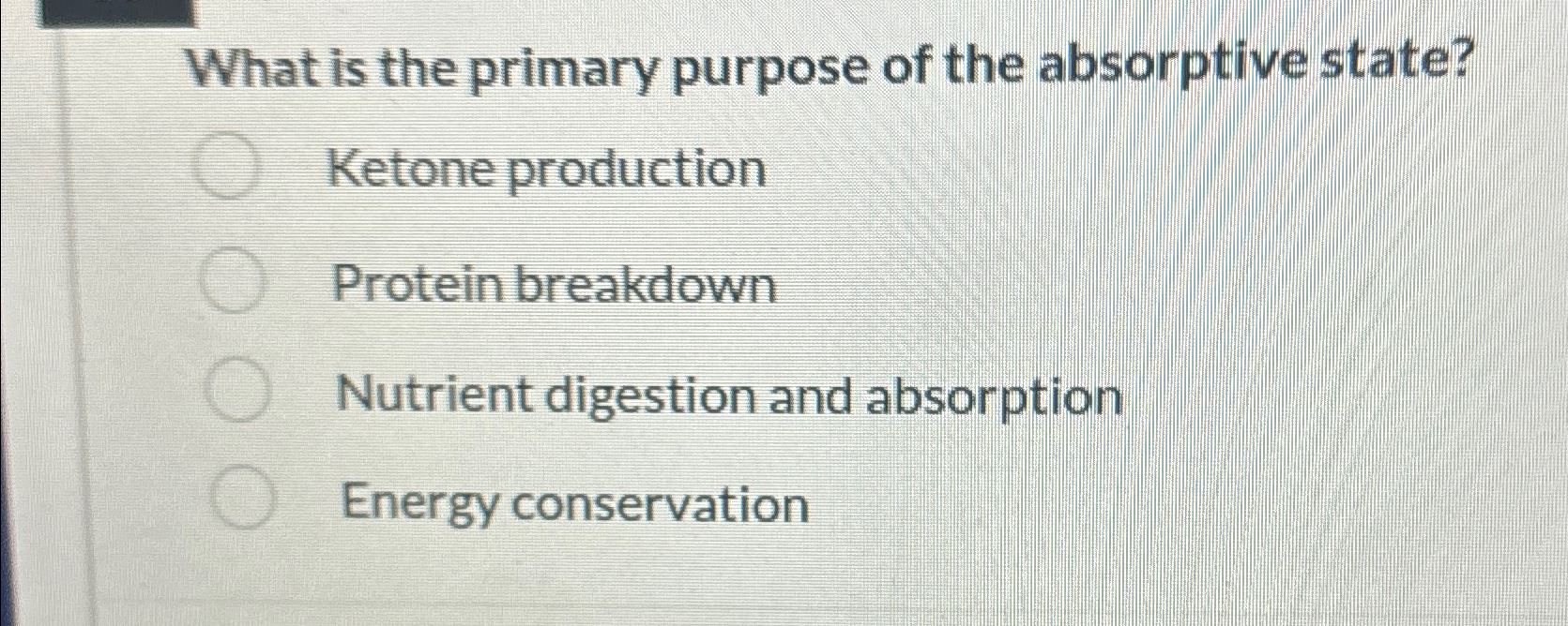 Solved What is the primary purpose of the absorptive | Chegg.com