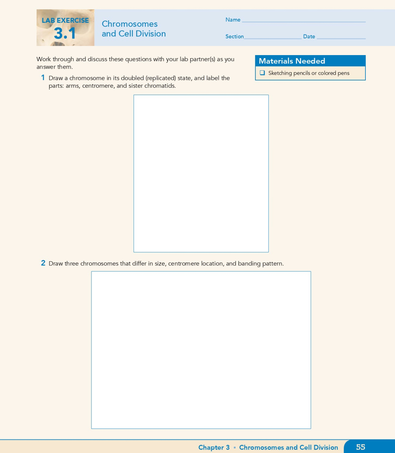 Solved LAB EXERCISEChromosomesNameand Cell | Chegg.com