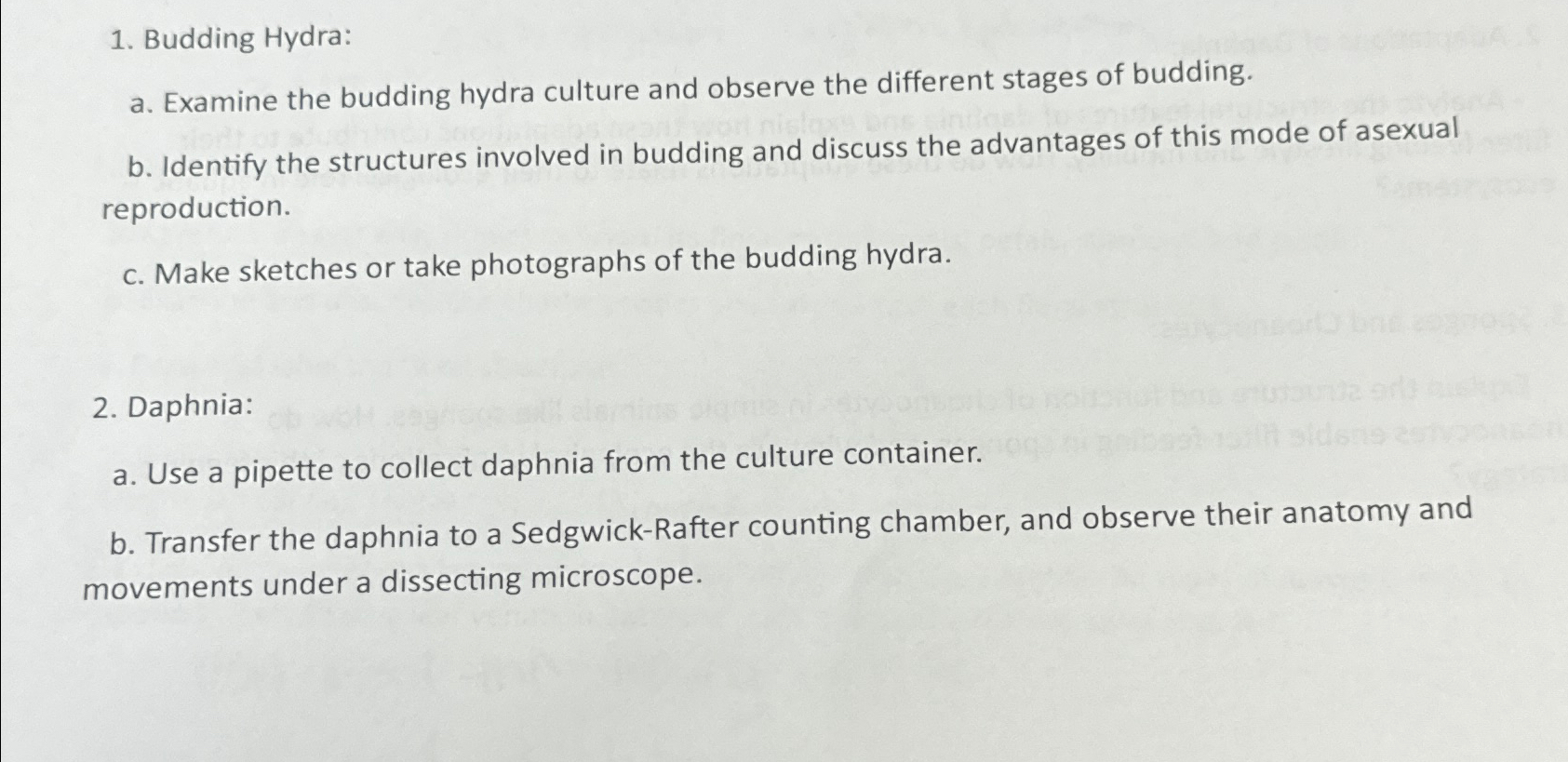 Solved Budding Hydraa ﻿examine The Budding Hydra Culture