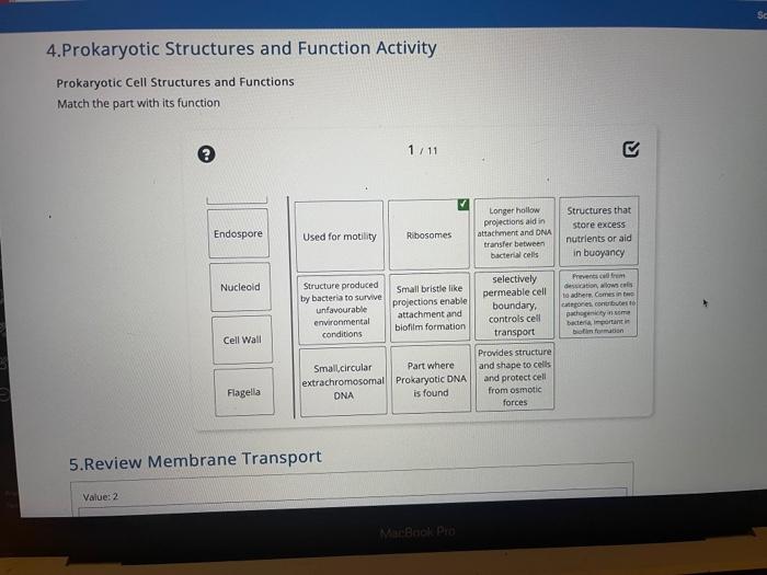 [Solved]: 4.Prokaryotic Structures and Function Activity Pr