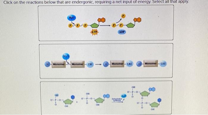 Solved Click on the reactions below that are endergonic, | Chegg.com