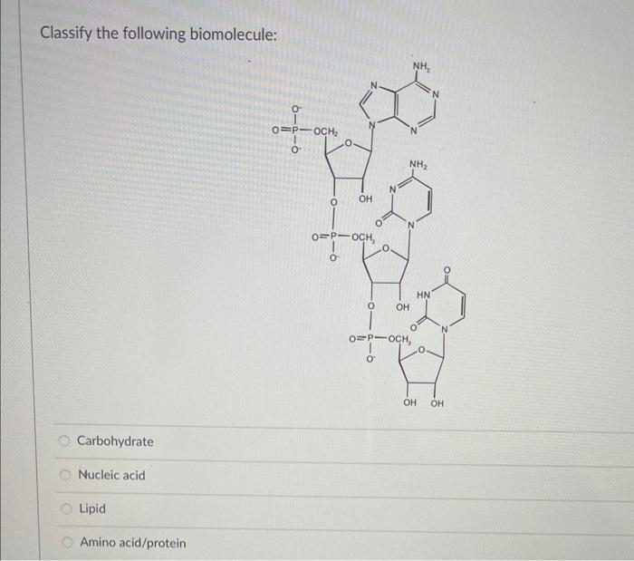 Solved Classify the following biomolecule: Carbohydrate | Chegg.com