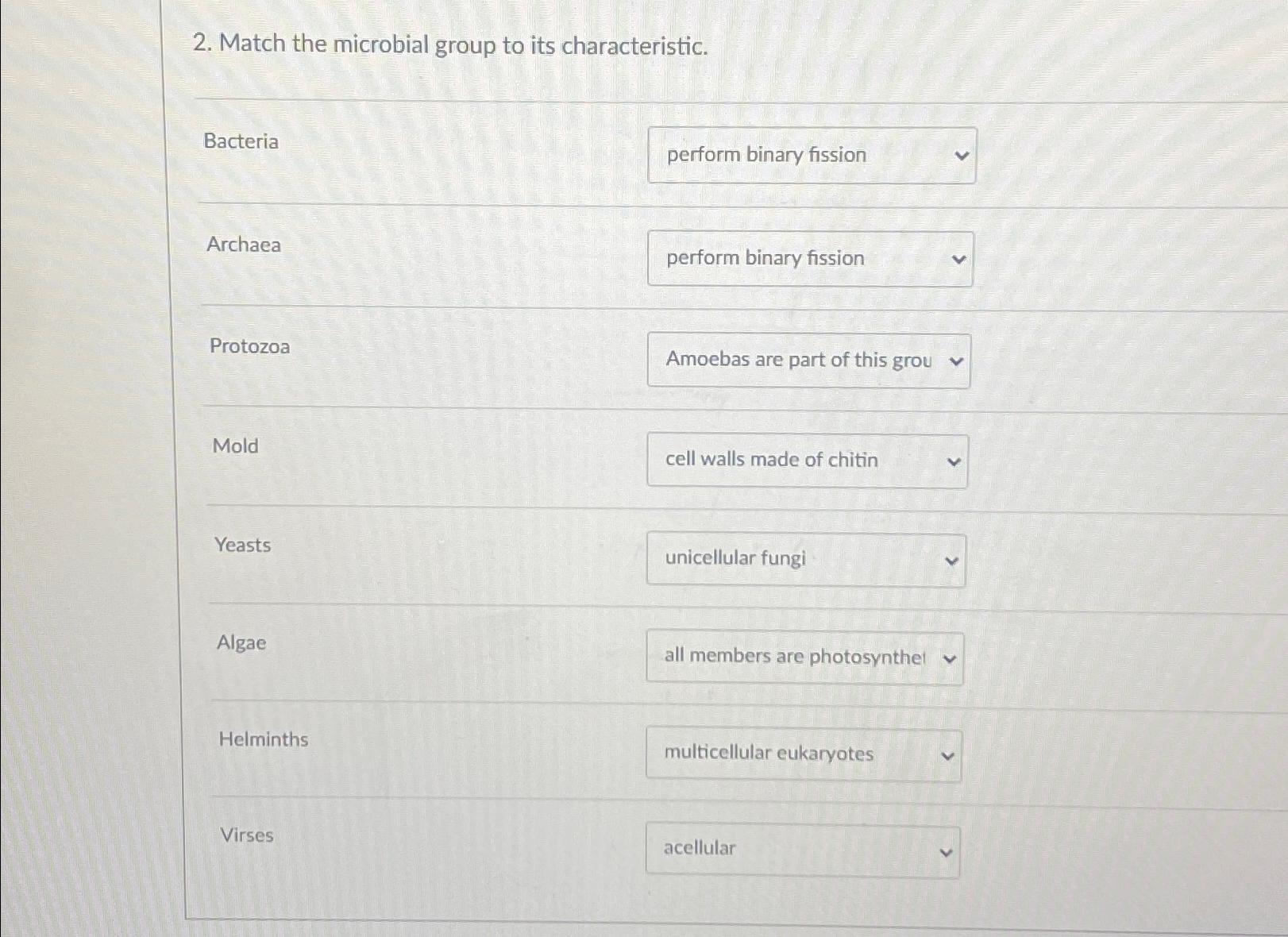 Solved Match the microbial group to its | Chegg.com