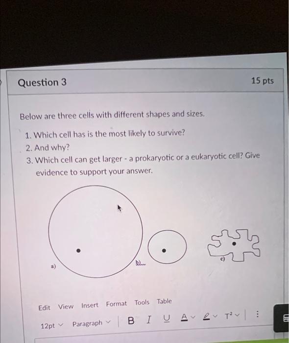 Below are three cells with different shapes and | Chegg.com