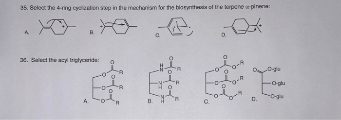 Solved 35. Select the 4-ring cyclization step in the | Chegg.com