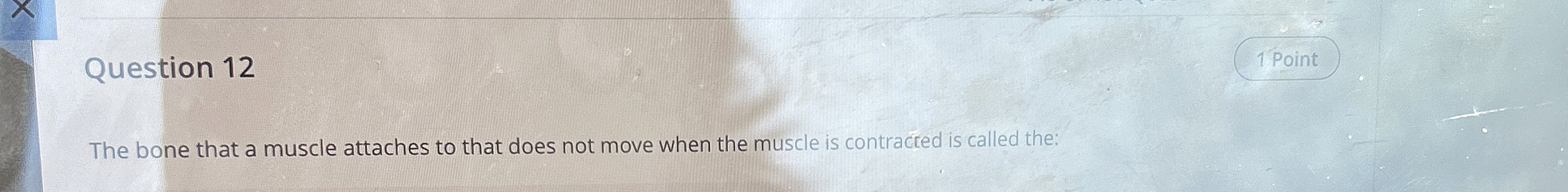 Solved Question 121 ﻿PointThe bone that a muscle attaches to | Chegg.com
