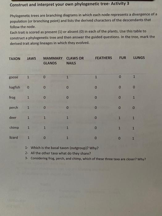 Solved Construct and interpret your own phylogenetic tree- | Chegg.com