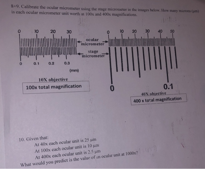 Solved 8+9. Calibrate the ocular micrometer using the stage | Chegg.com