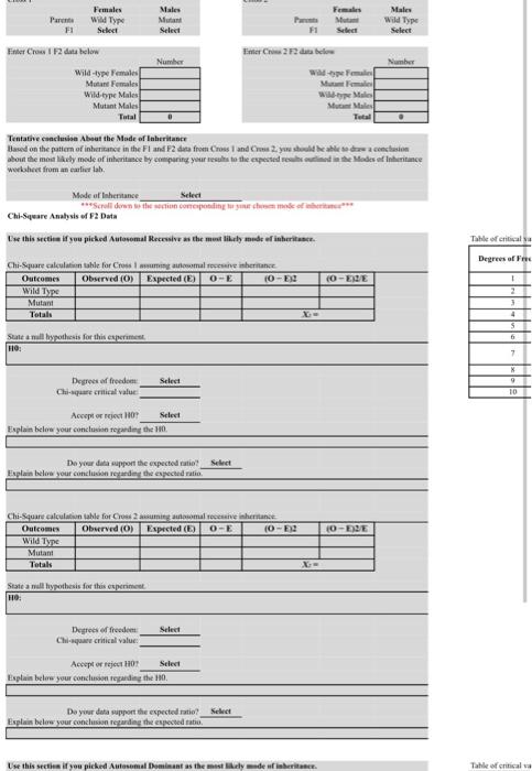 Solved \begin{tabular}{|l|r|r|r|r|} \hline & WT Females & | Chegg.com