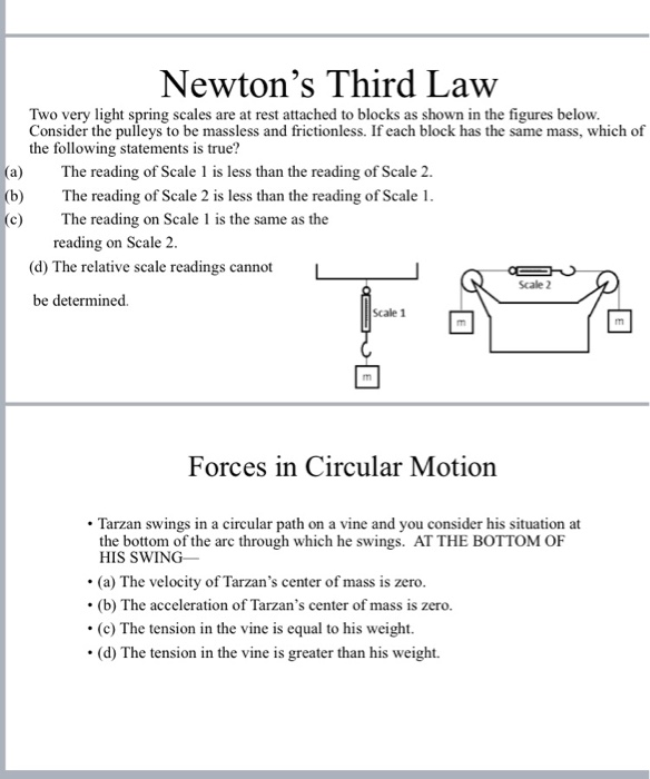 Solved Newton's Third Law Two very light spring scales are | Chegg.com