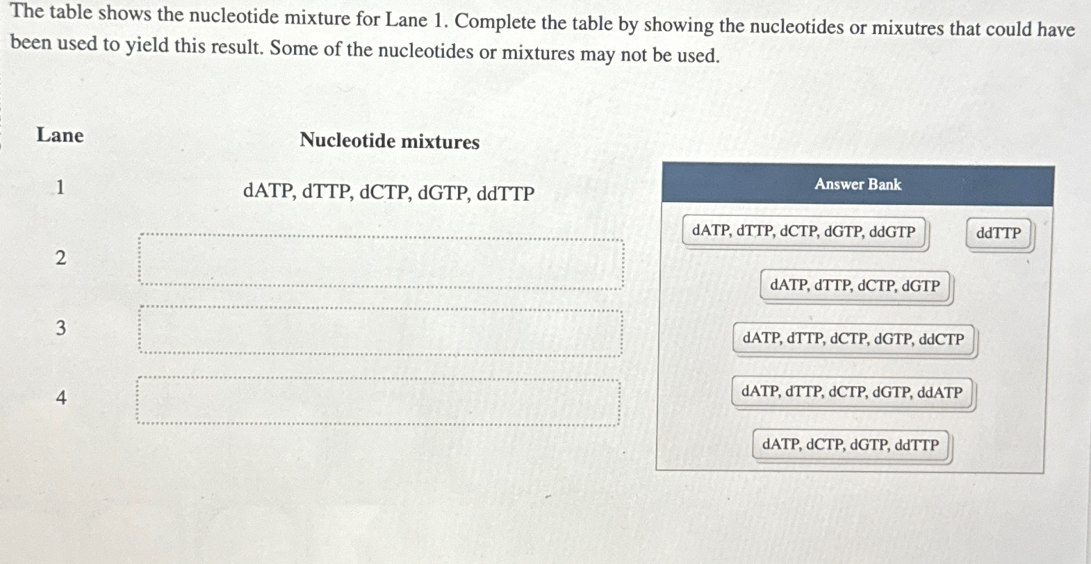 Solved The table shows the nucleotide mixture for Lane 1. | Chegg.com