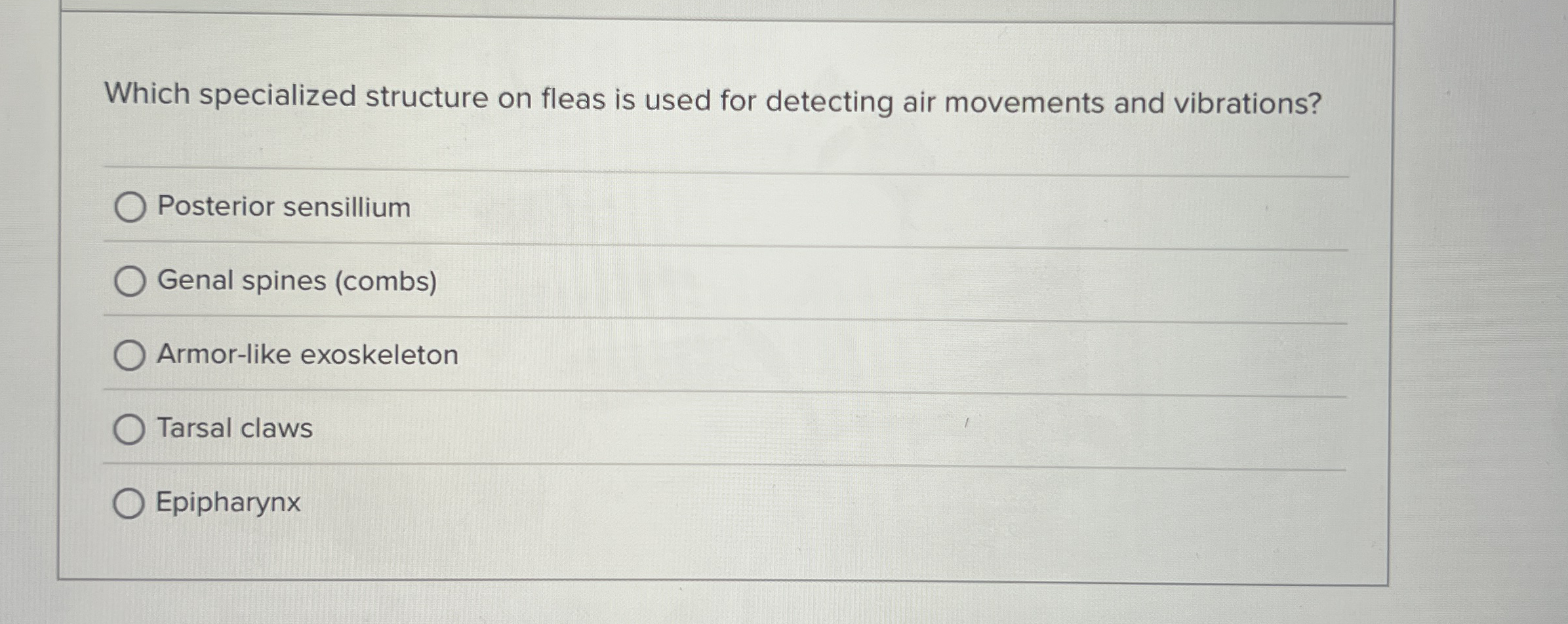 Solved Which specialized structure on fleas is used for | Chegg.com