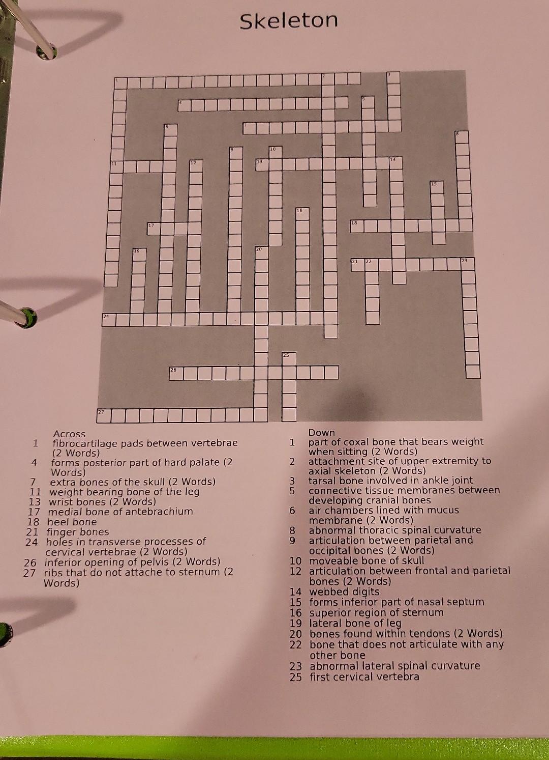 Skeleton (1) | Chegg.com