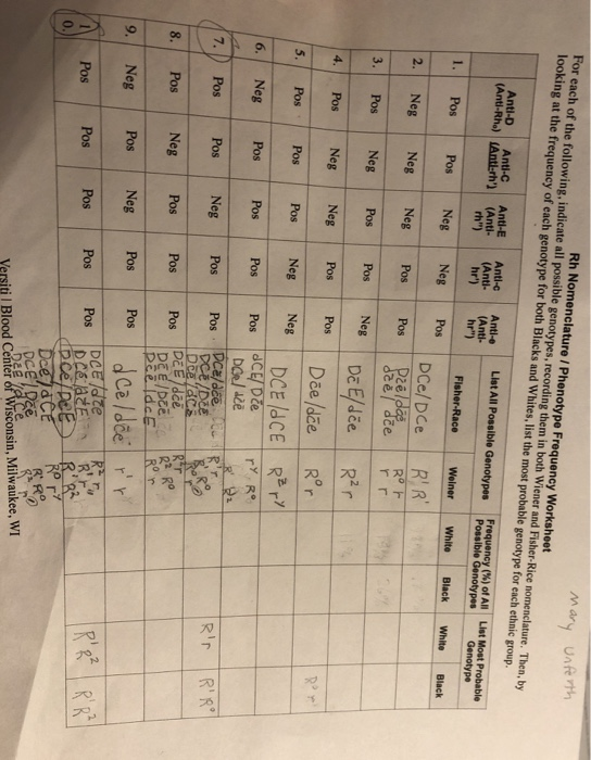 Rh Nomenclature / Phenotype Frequency Worksheet For | Chegg.com
