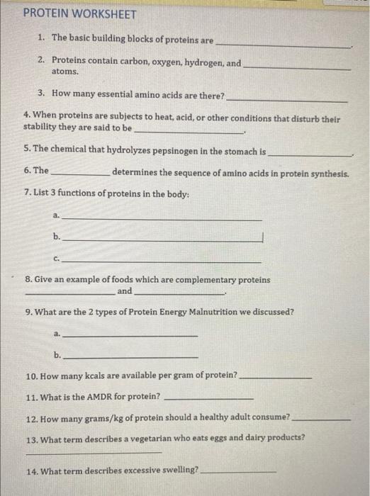 Solved PROTEIN WORKSHEET 1. The basic building blocks of | Chegg.com