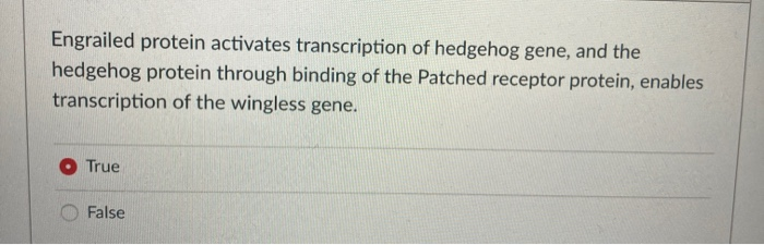 Solved Engrailed protein activates transcription of hedgehog | Chegg.com