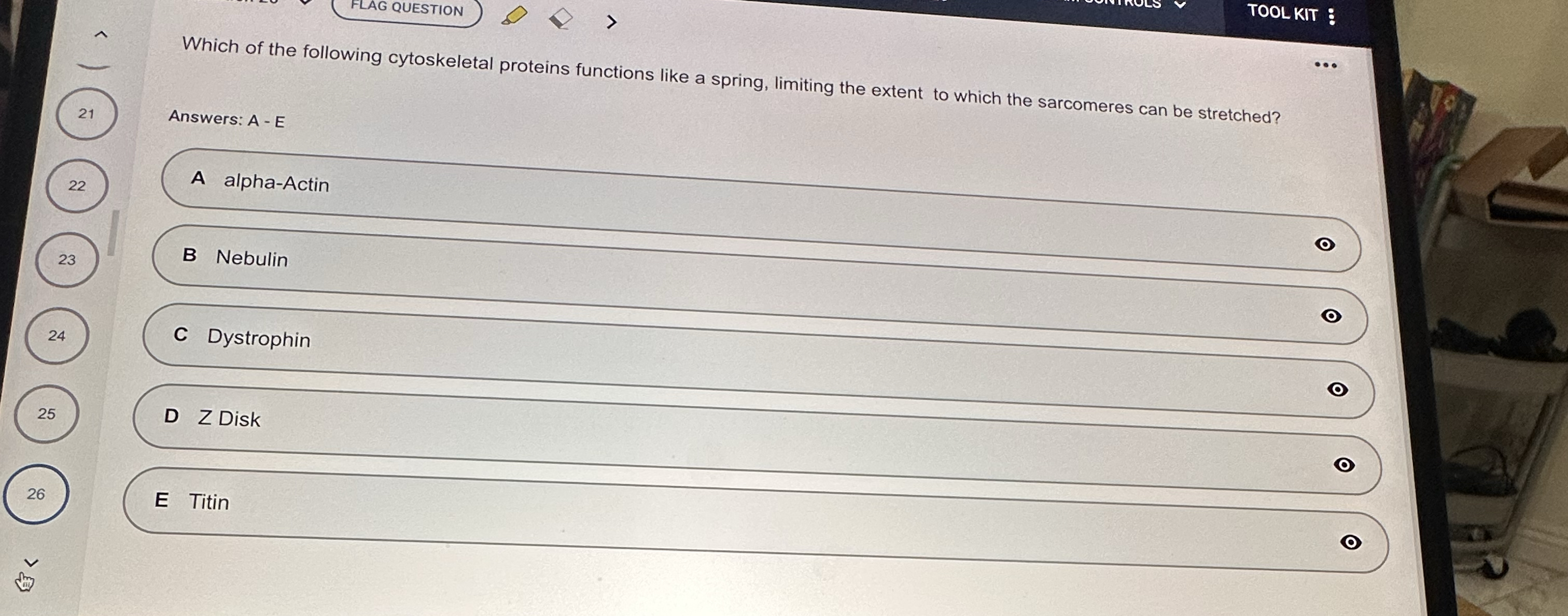 Solved FLAG QUESTIONTOOL KITWhich of the following | Chegg.com