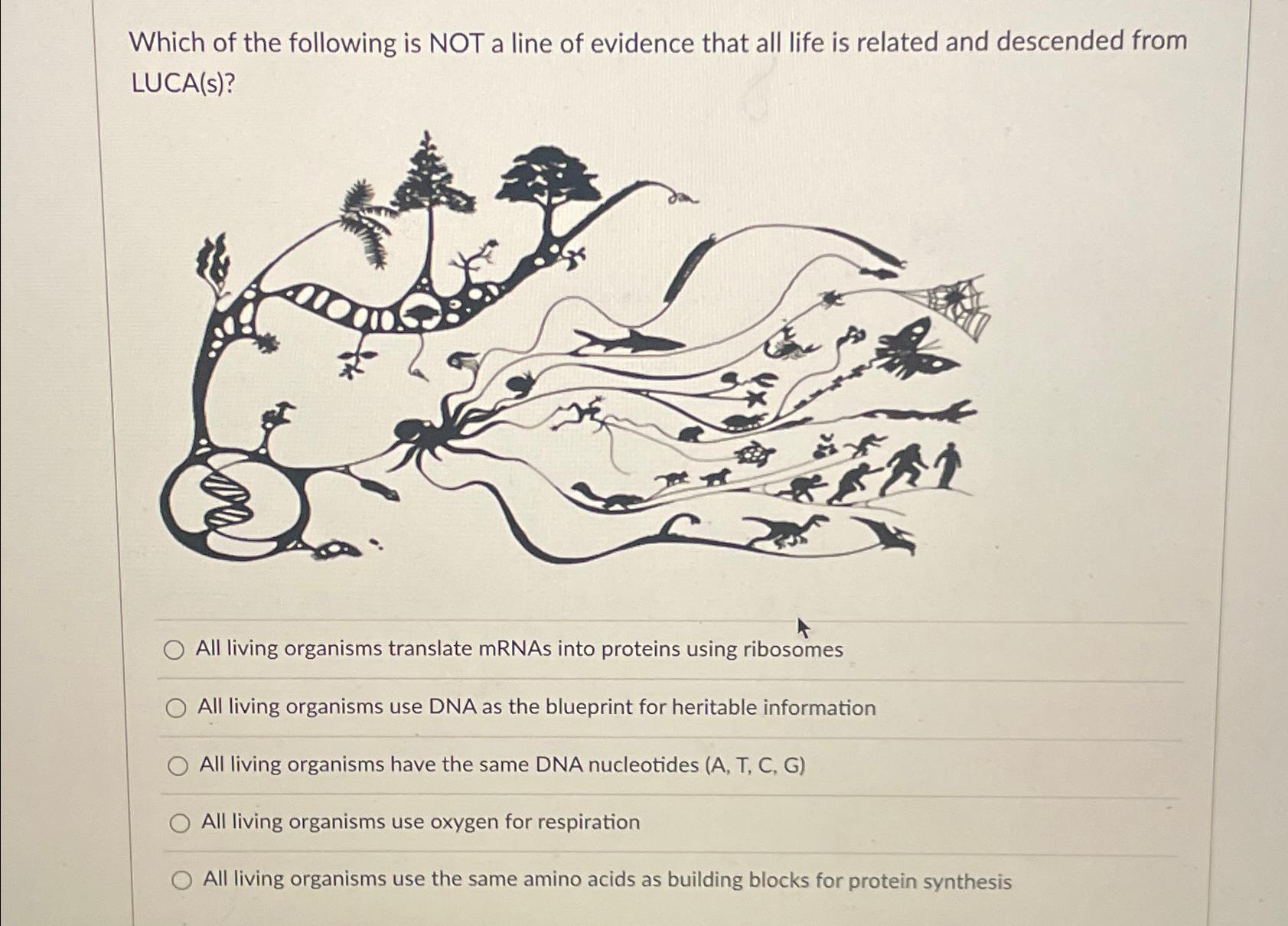 Solved Which of the following is NOT a line of evidence that | Chegg.com