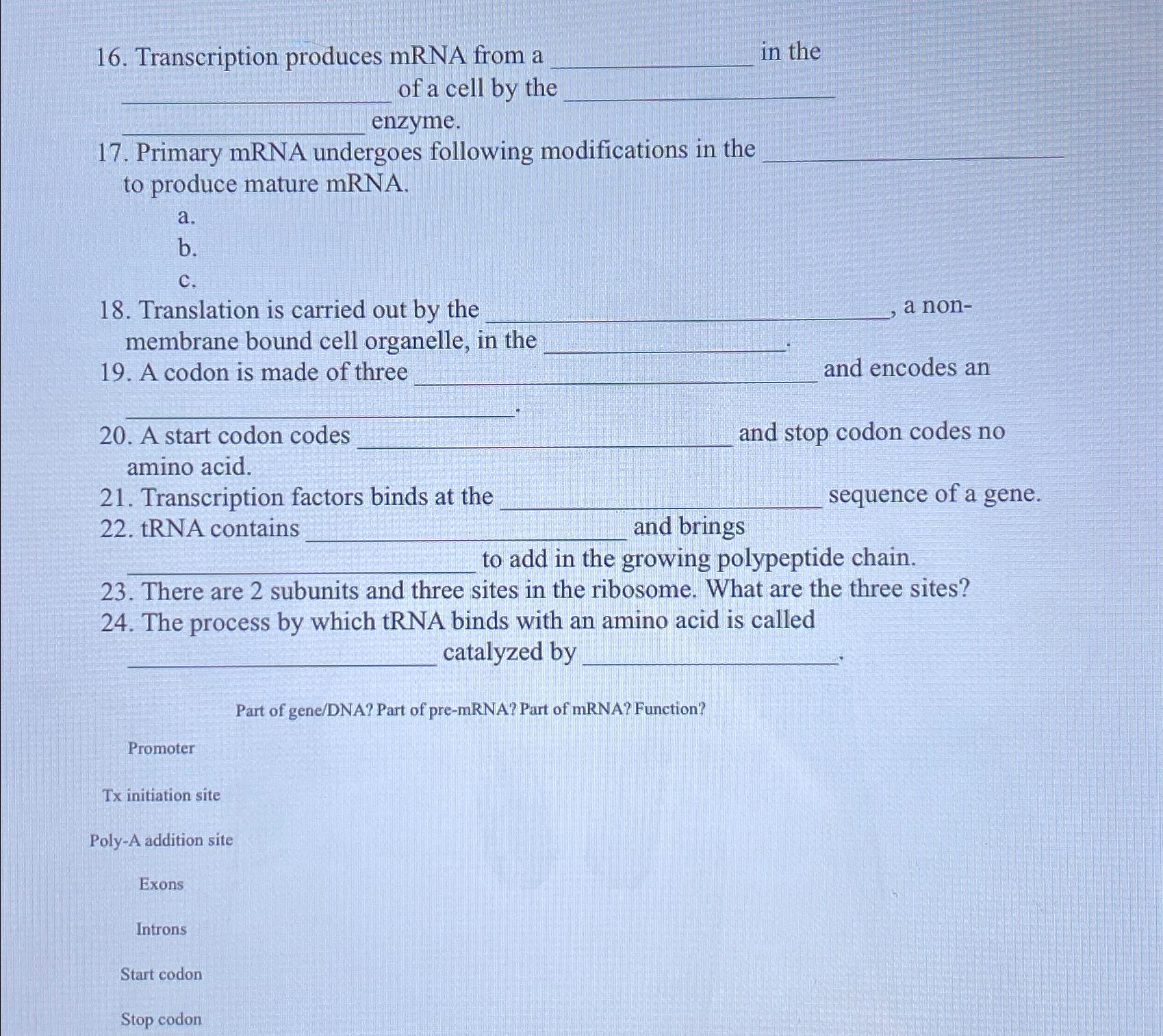 Solved Transcription produces mRNA from a in the of a cell | Chegg.com