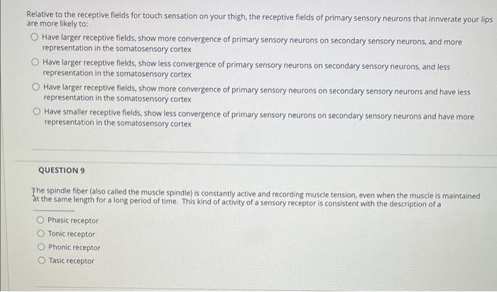 Solved Relative to the receptive fields for touch sensation | Chegg.com