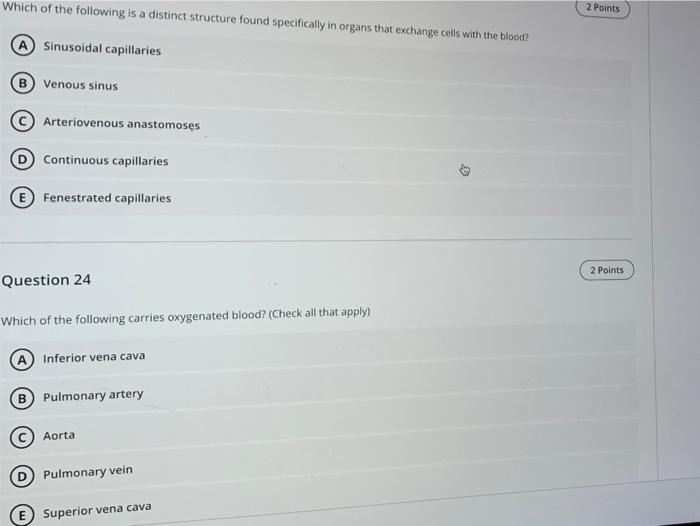 Solved Which of the following is a distinct structure found | Chegg.com