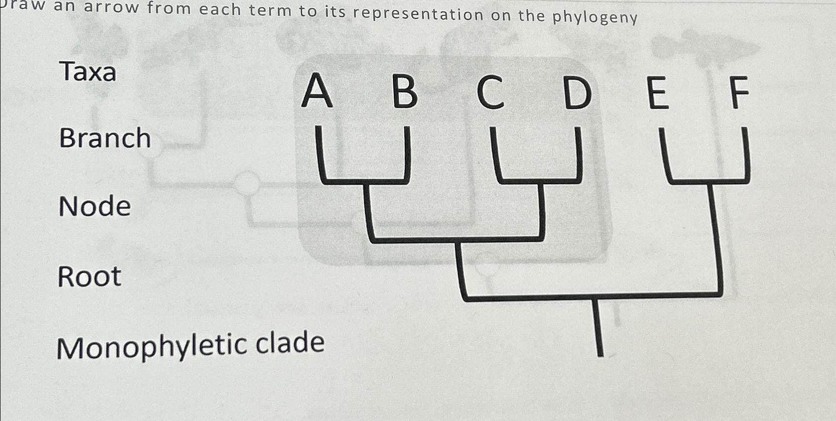 Solved praw an arrow from each term to its representation on | Chegg.com Solved praw an arrow from each term to its representation on | Chegg.com