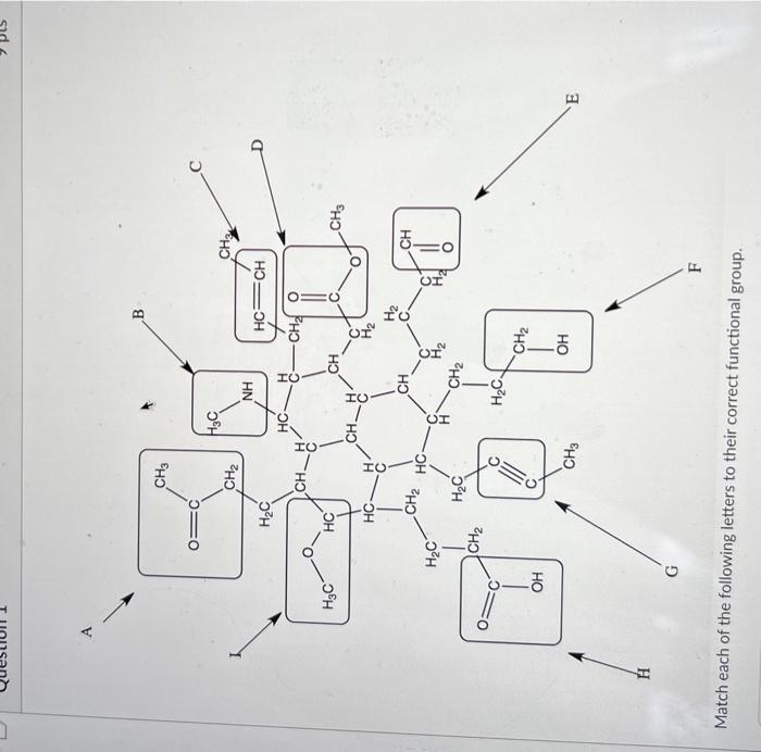 [ H H3C OH H₂C G H₂C HC CH₂ HC CH3 CH₂ CH_H CH₂ H₂C | Chegg.com