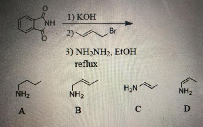 Solved 1) KOH NH 2) Br 3) NH2NH2, EtOH reflux H2N NH2 NH2 | Chegg.com