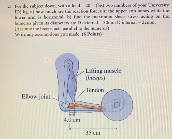 Solved 2. For the subject down, with a load = 20 + (last two | Chegg.com