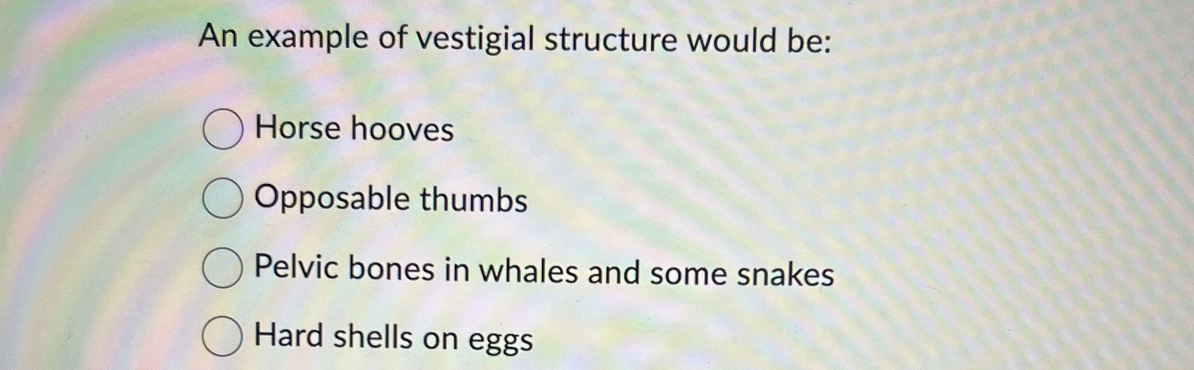 Solved An example of vestigial structure would be:Horse | Chegg.com
