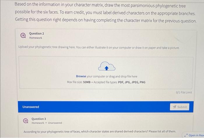Solved Upload your character matrox for the faces here. You | Chegg.com