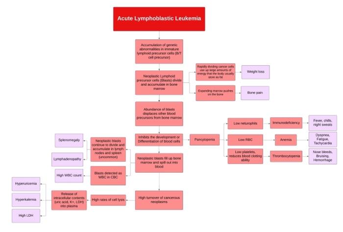 Solved Explain this Pathophysiology of Acute Lymphoblastic | Chegg.com