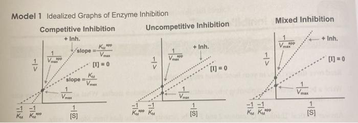 Solved For each situation in Model 1, consider an inhibitor | Chegg.com