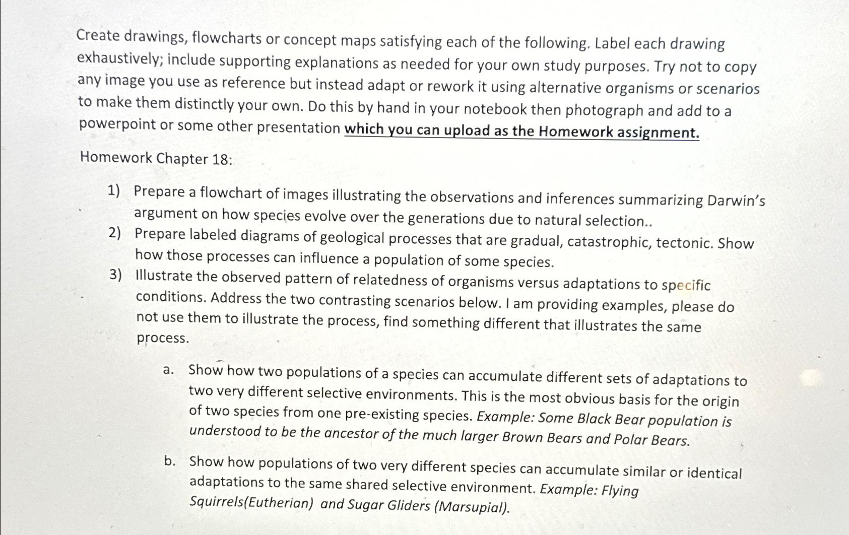 Solved Create drawings, flowcharts or concept maps | Chegg.com