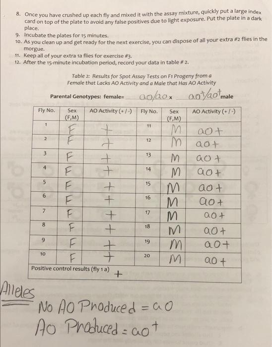 Solved Exercise \# 2 Determining the Pattern of Inheritance | Chegg.com