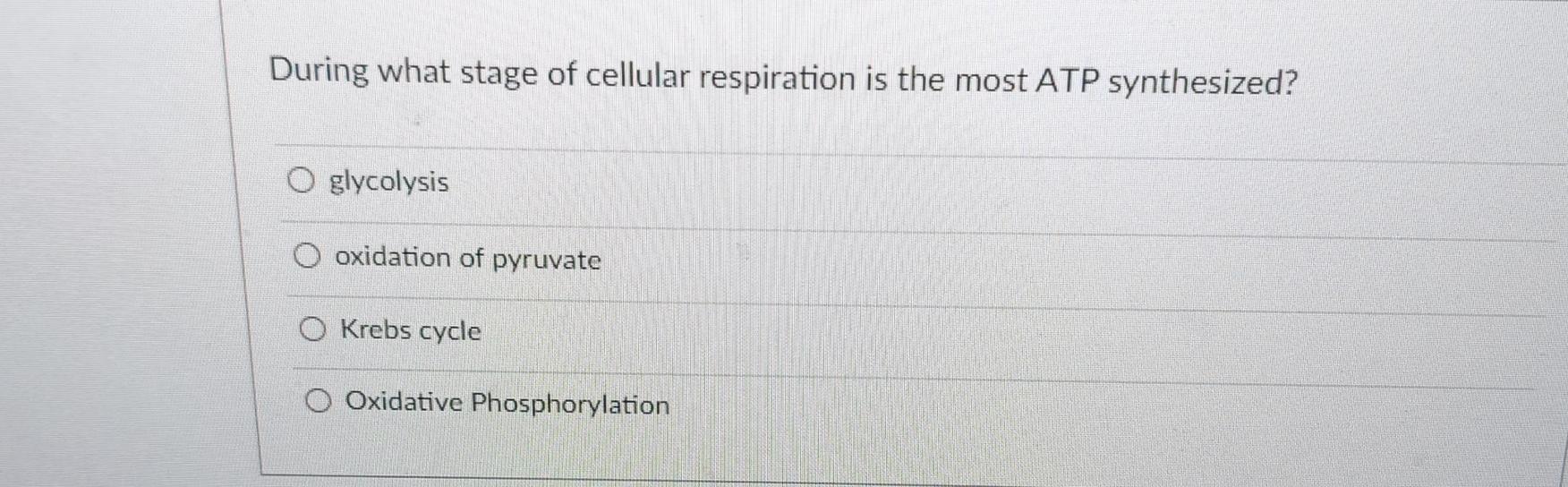 Solved During what stage of cellular respiration is the most | Chegg.com