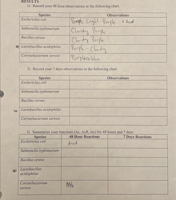 RESULTS 1) Record your 48 hour observations in the | Chegg.com