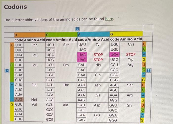 Solved Consider the amino acid sequence. | Chegg.com