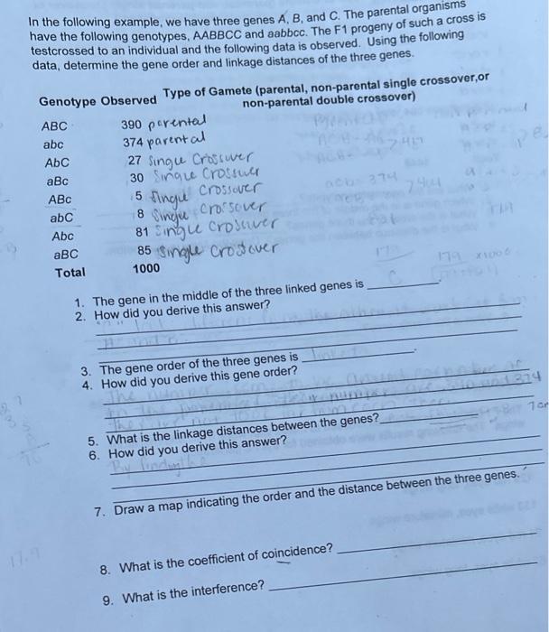 In the following example, we have three genes A, B, | Chegg.com